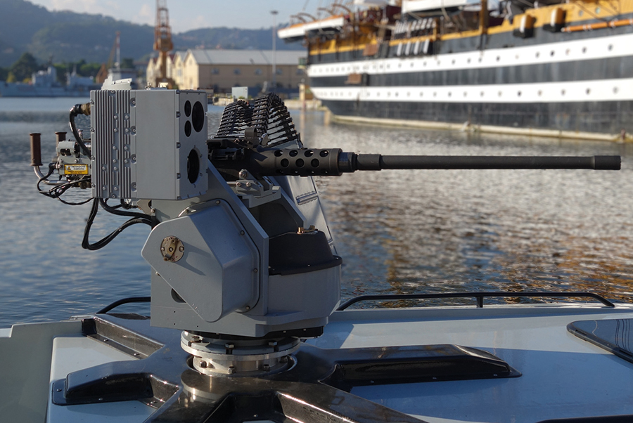 RID - Rivista Italiana Difesa - shownews - LIONFISH e MARLIN: i ...