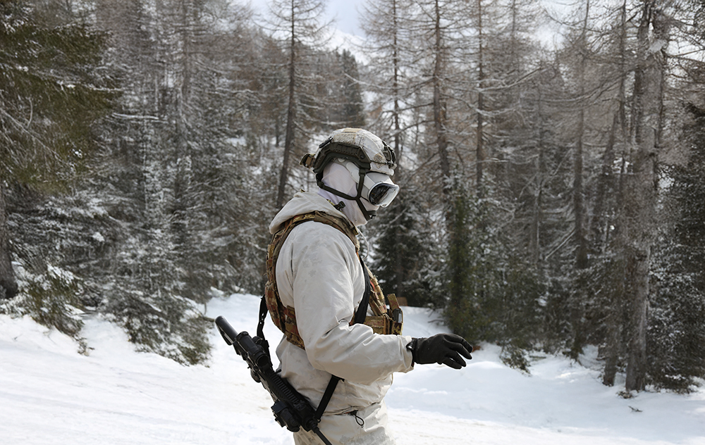 RID - Rivista Italiana Difesa - shownews - BMS ARGO anche per le ...